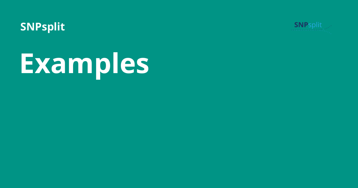 Examples - SNPsplit