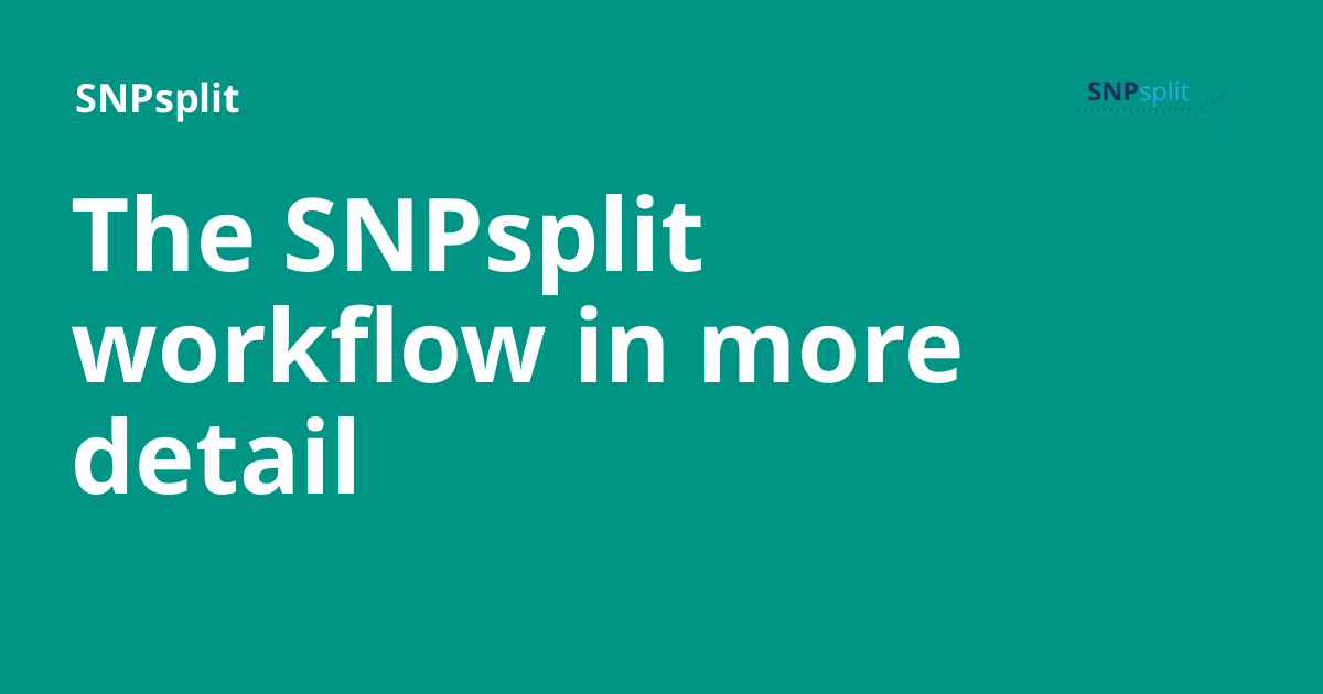 The SNPsplit workflow in more detail - SNPsplit